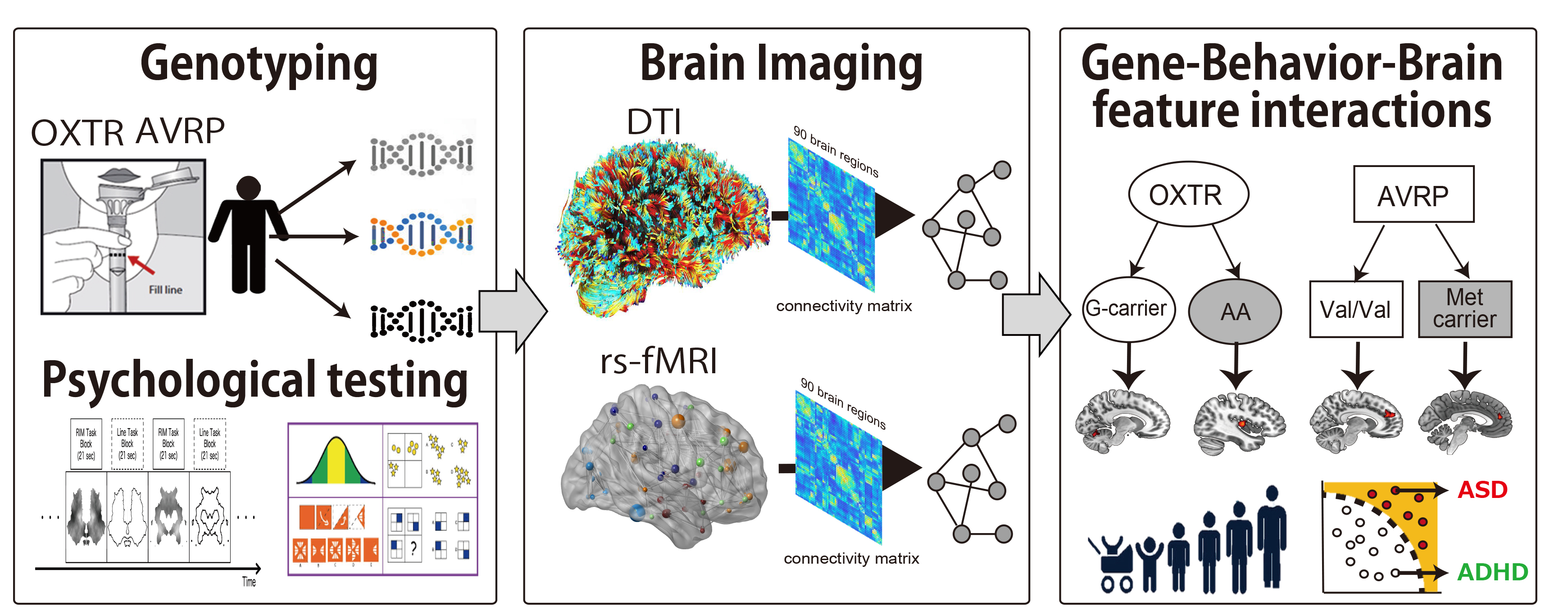 Research Topic – KBRI Brain Development Imaging Lab
